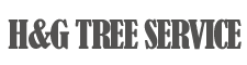 Our Gallery - H&G Tree Service